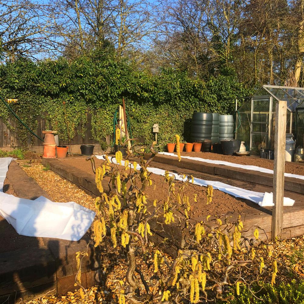 Beds & Borders Soil